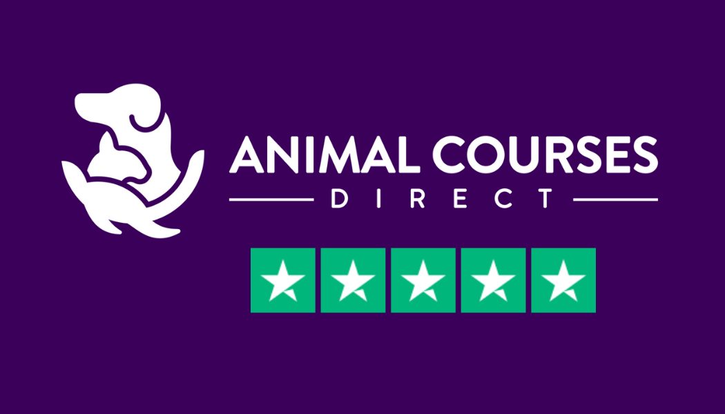 Courses With Animal Courses Direct As Part Of Animal Jobs Direct courses-with-animal-courses-direct-as-part-of-animal-jobs-direct