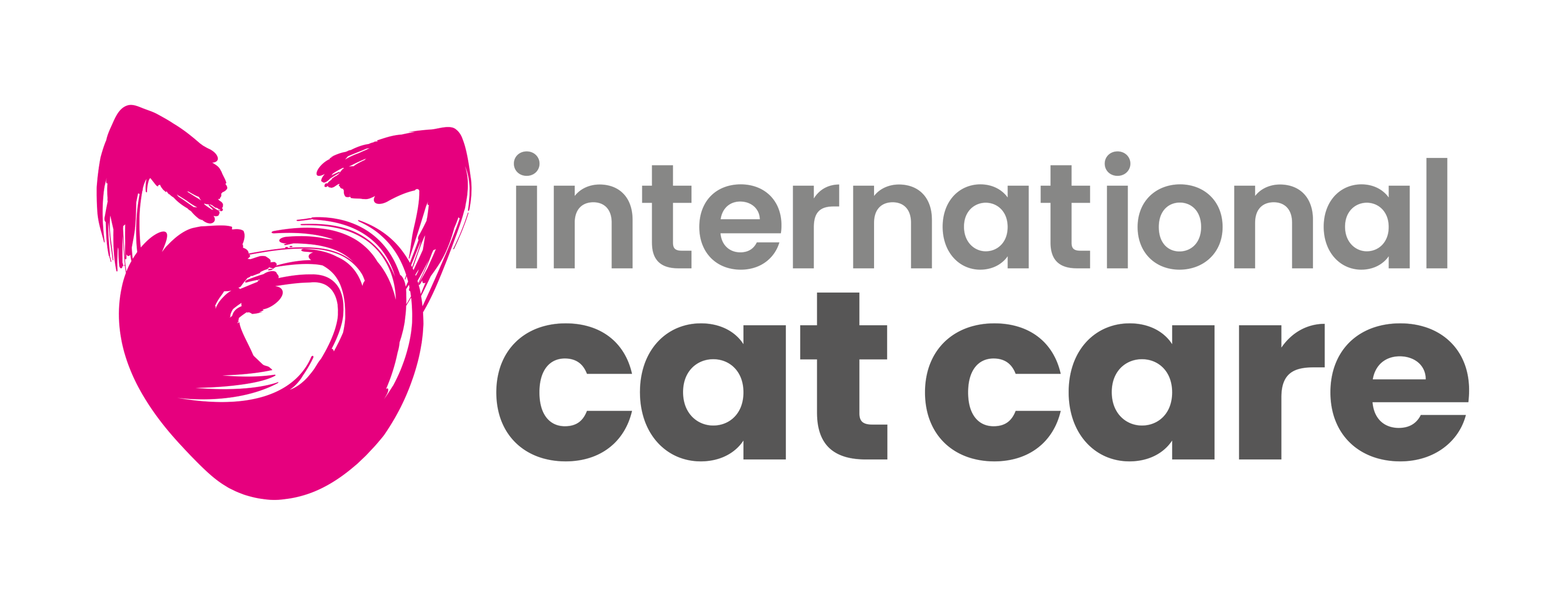 ISFM Diploma in Feline Nursing course provided by International Cat Care