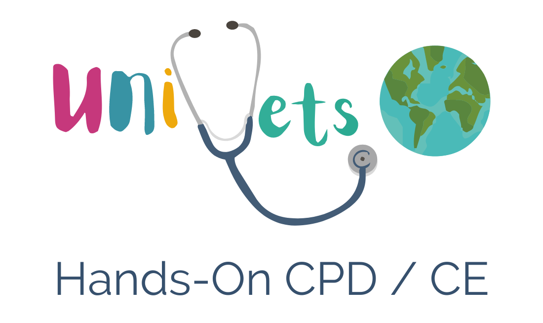 Echocardiography Programs