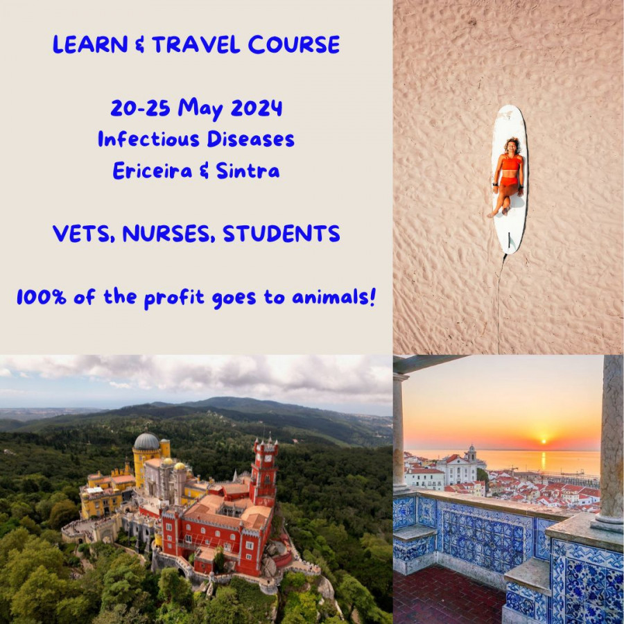 FREE MONTHLY WEBINARS 'Acute spinal injury', 'How to interpret thoracic ...